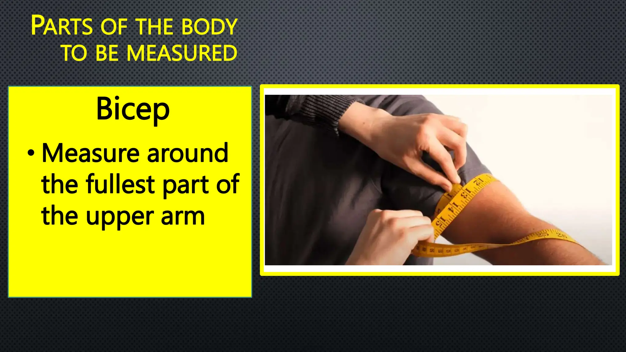 taking body measurements PowerPoint presentation | PPTX