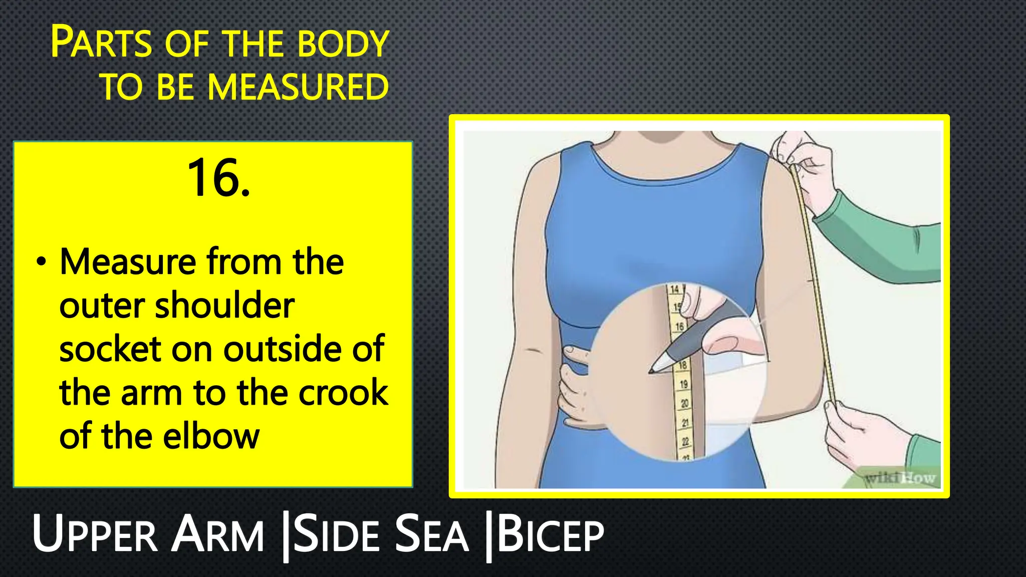 taking body measurements PowerPoint presentation | PPTX