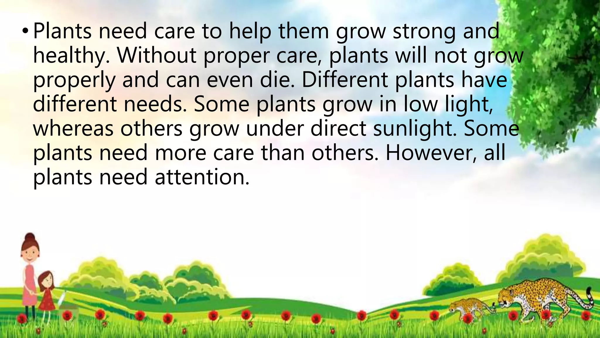 Taking care of plants | PPTX