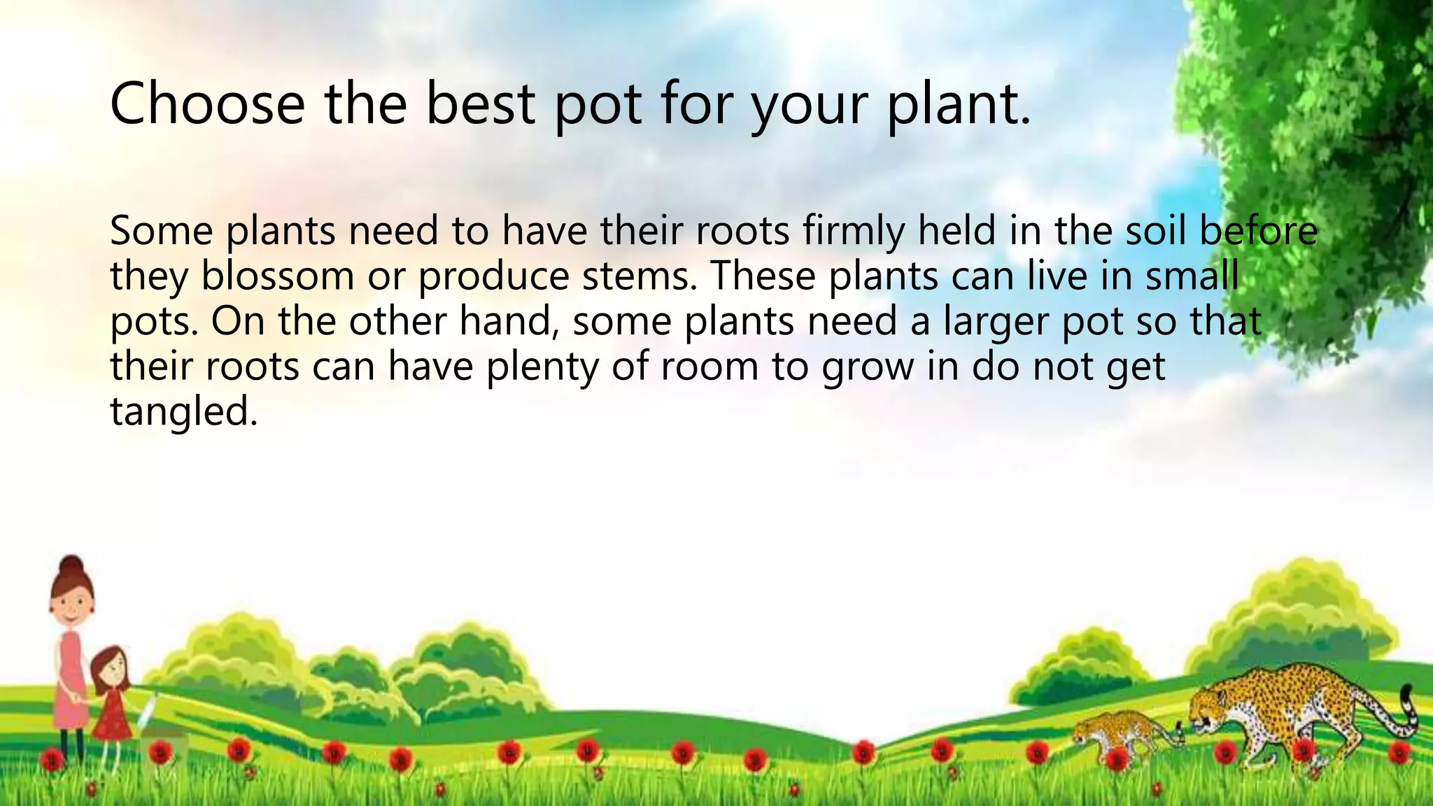 Taking care of plants | PPTX
