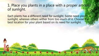 Taking care of plants | PPTX