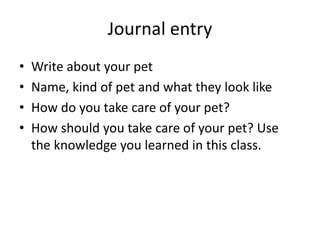 Taking care of your pet | PPTX