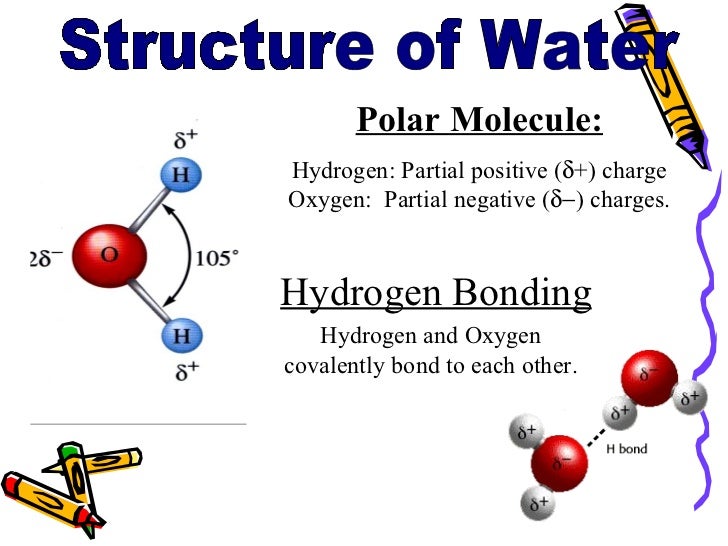 TAKS Review Ppt Objective 4