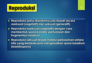 Taksonomi basidiomycota | PPTX