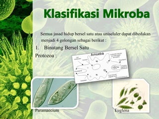 Taksonomi & klasifikasi mikroorganisme | PPTX