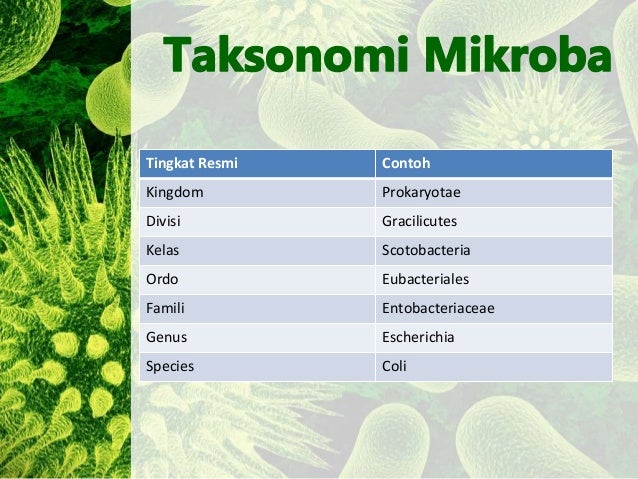 Taksonomi & klasifikasi mikroorganisme