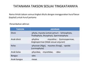 Tingkatan takson klasifikasi tumbuhan 2.ppt