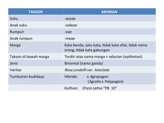 Tingkatan takson klasifikasi tumbuhan 2.ppt