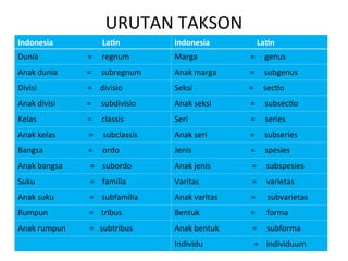 Tingkatan takson klasifikasi tumbuhan 2.ppt