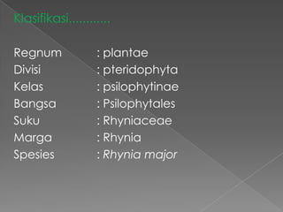 Taksonomi tumbuhan i,kelompok 3, biologi 3 | PPTX