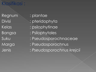 Taksonomi tumbuhan i,kelompok 3, biologi 3 | PPTX