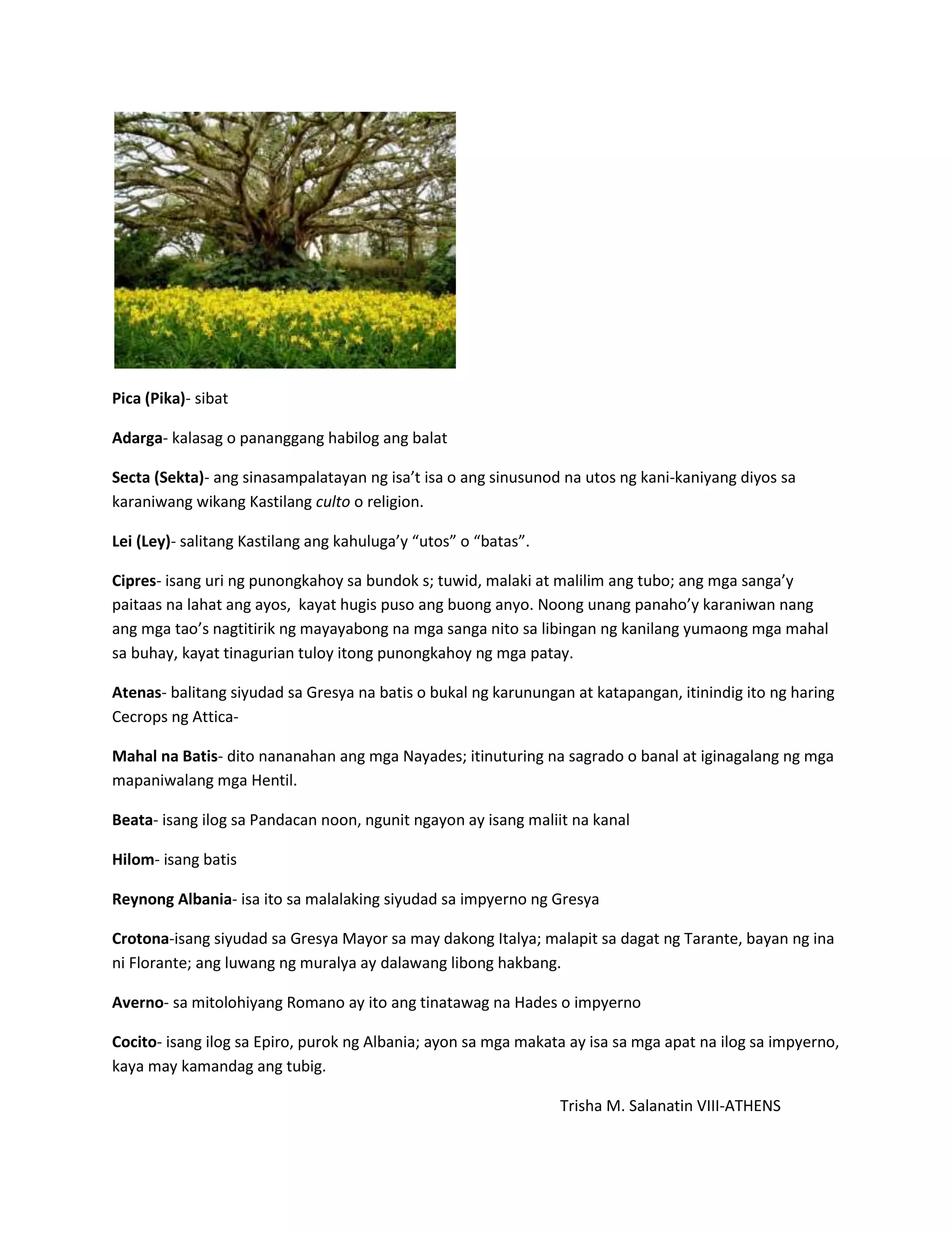 Talababa ng florante't Laura (Trisha Salanatin) | DOCX