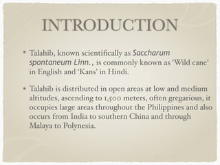 Talahib thesis | PDF