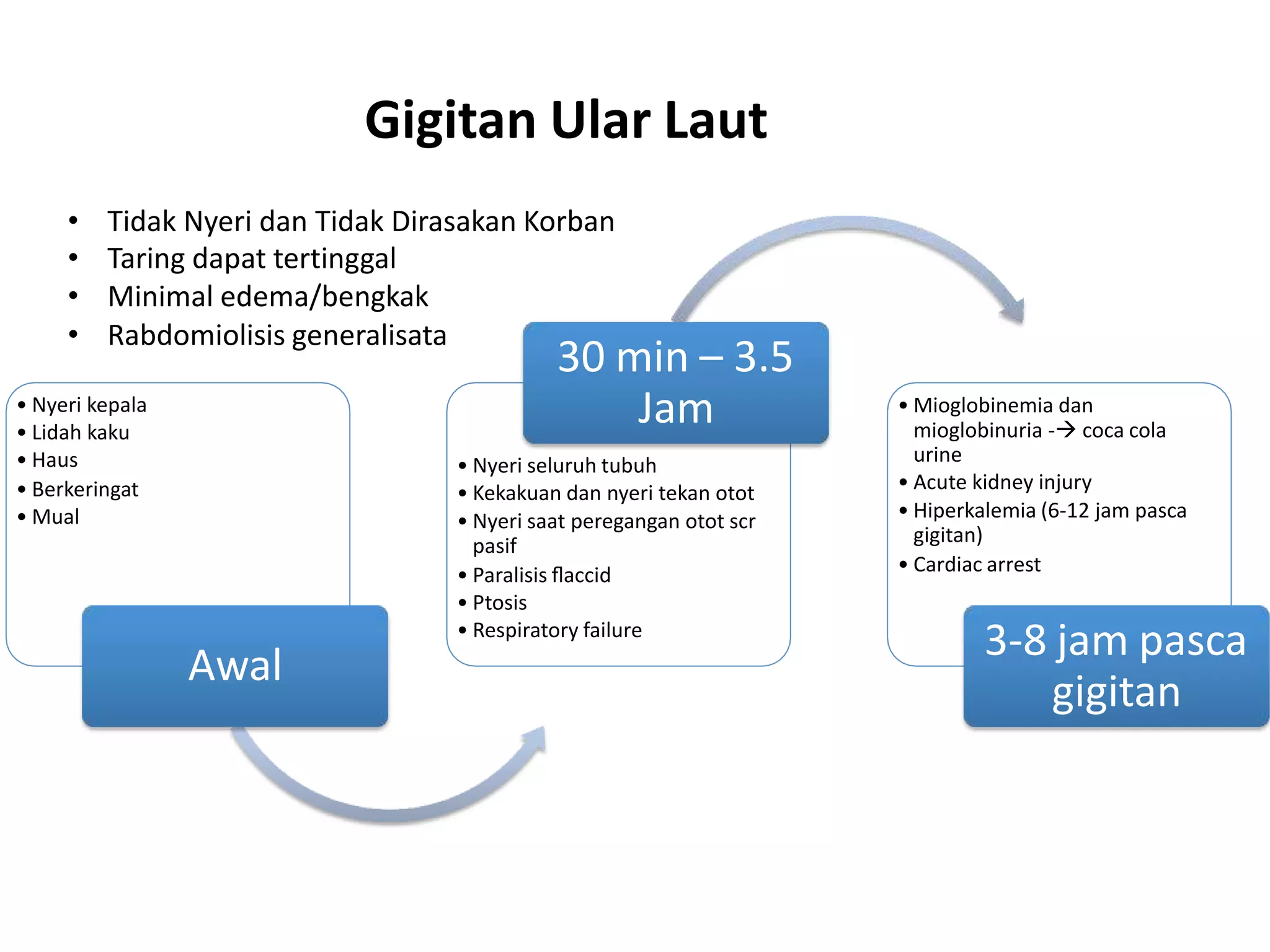 talak snakebike 2.pptx