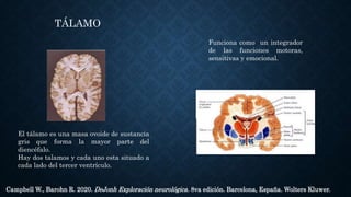 NEUROANATOMIA FUNCIONAL DEL TALAMO .pptx