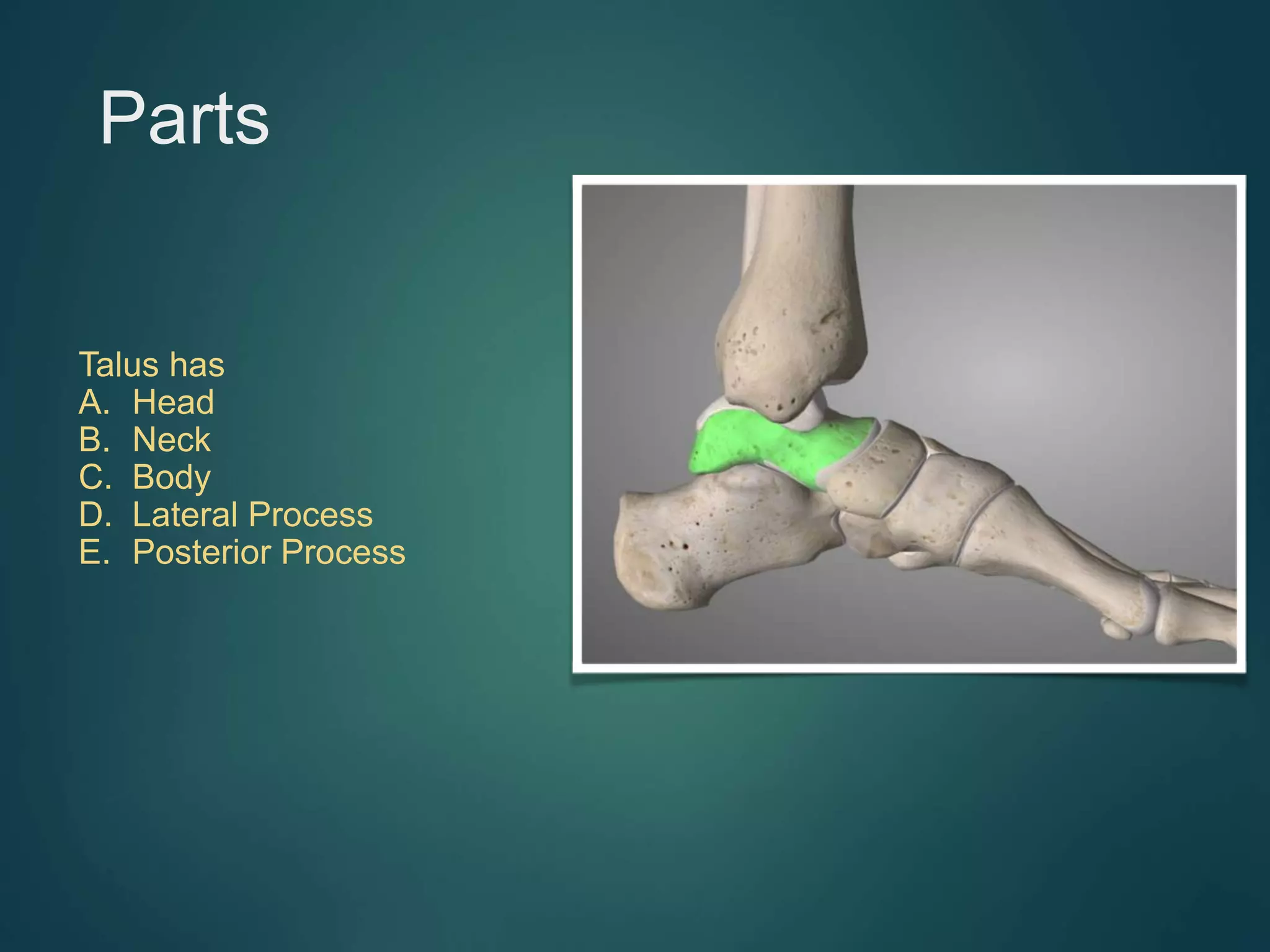 TALUS FRACTURE AND MANAGEMENT. | PPTX