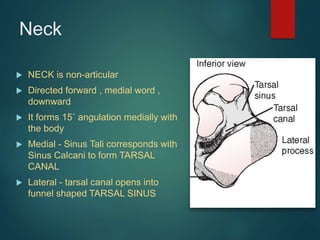 TALUS FRACTURE AND MANAGEMENT. | PPTX