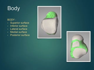 TALUS FRACTURE AND MANAGEMENT. | PPTX