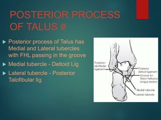 TALUS FRACTURE AND MANAGEMENT. | PPT