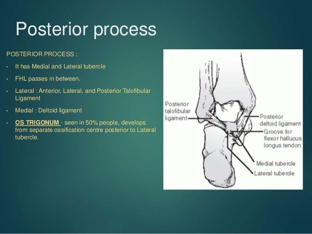 TALUS FRACTURE AND MANAGEMENT.