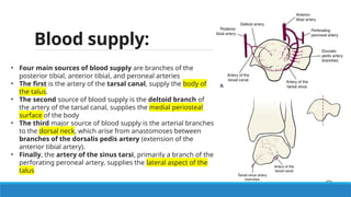 Talar Fractures (Fractures of Talus Bone).pptx