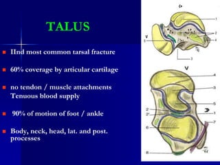 Talar fractures2 | PPT
