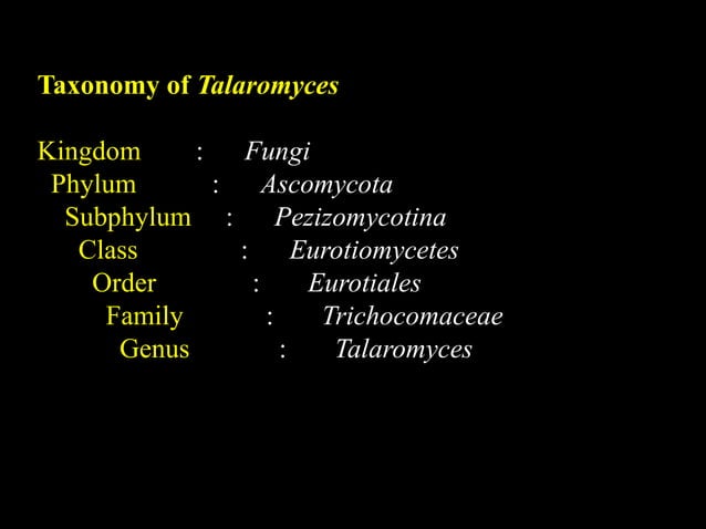 Talaromyces | PPTX | Gardening | Home & Garden
