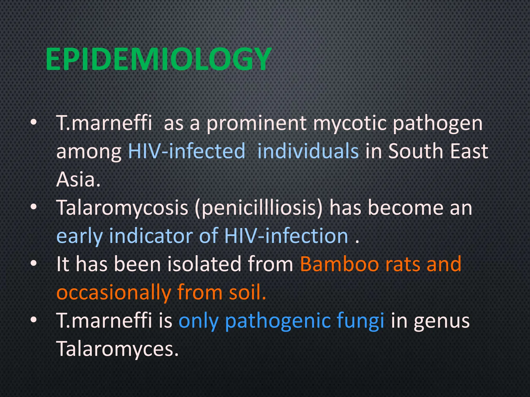 TALAROMYCOSIS - Introduction, Morphology, Epidemiology, Clinical ...