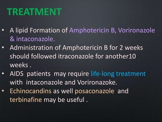 TALAROMYCOSIS - Introduction, Morphology, Epidemiology, Clinical ...