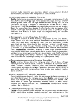 Talas | PDF