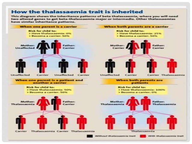 Talasemia | PPT