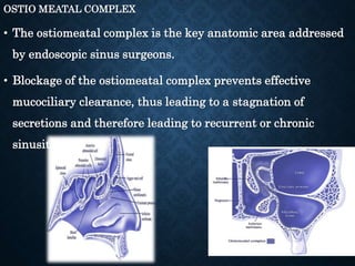 functional endodontic sinus surgery project | PPTX | Ear, Nose and ...