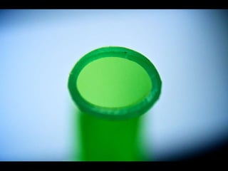 Talbot-Minkin_observing | PPTX