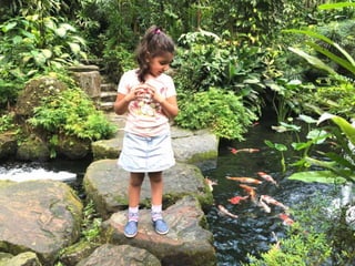 Taleen animals | PPTX