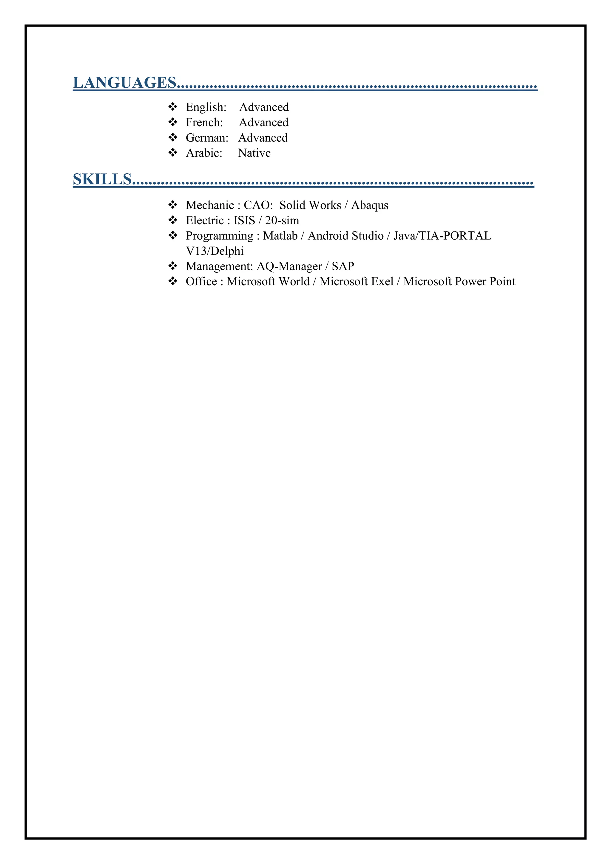 Talel cv | PDF