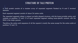 TALENS IN GENE EDITING, PROS AND CONS .pptx