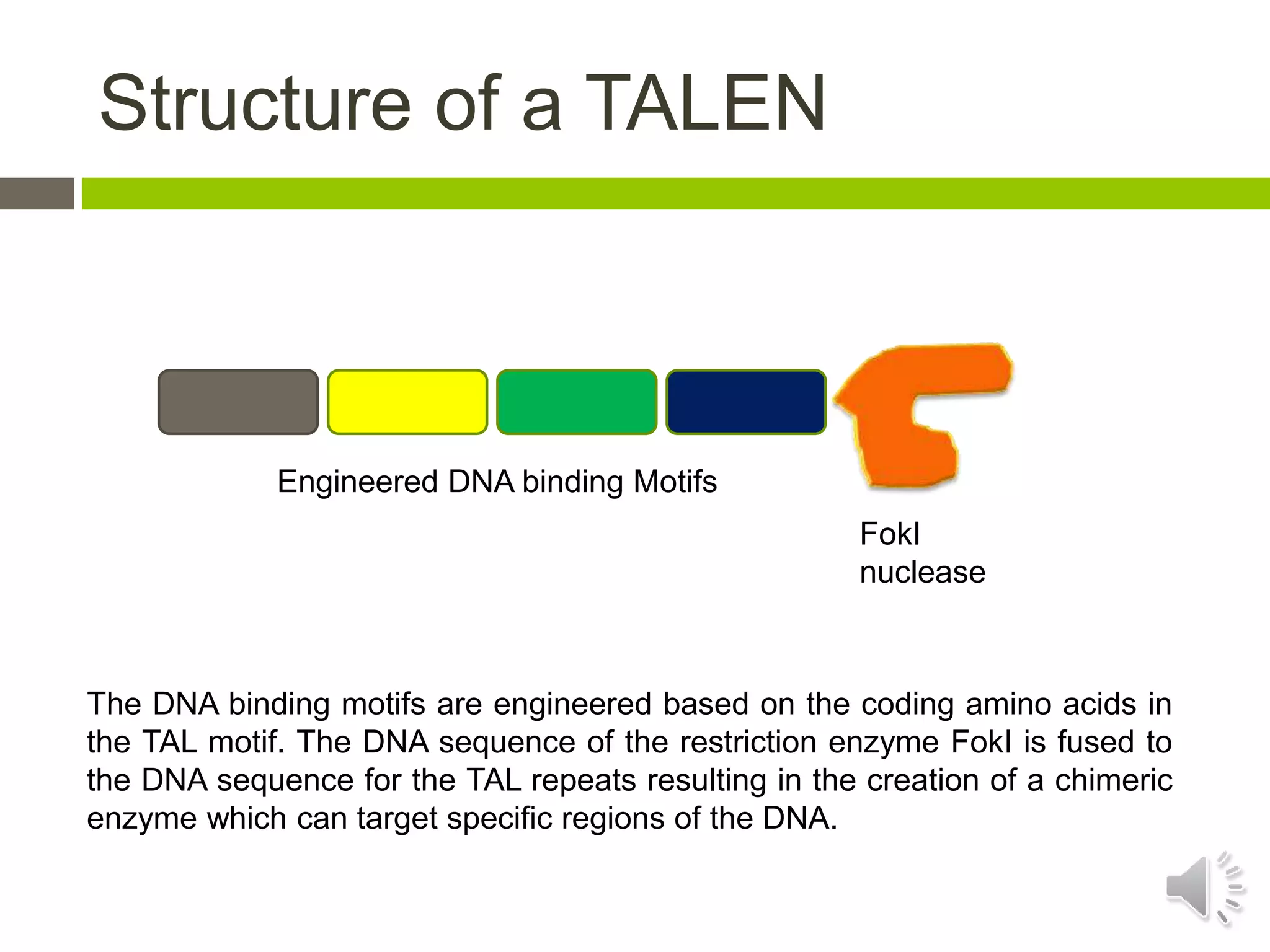 Genome Editing with TALENS | PPTX
