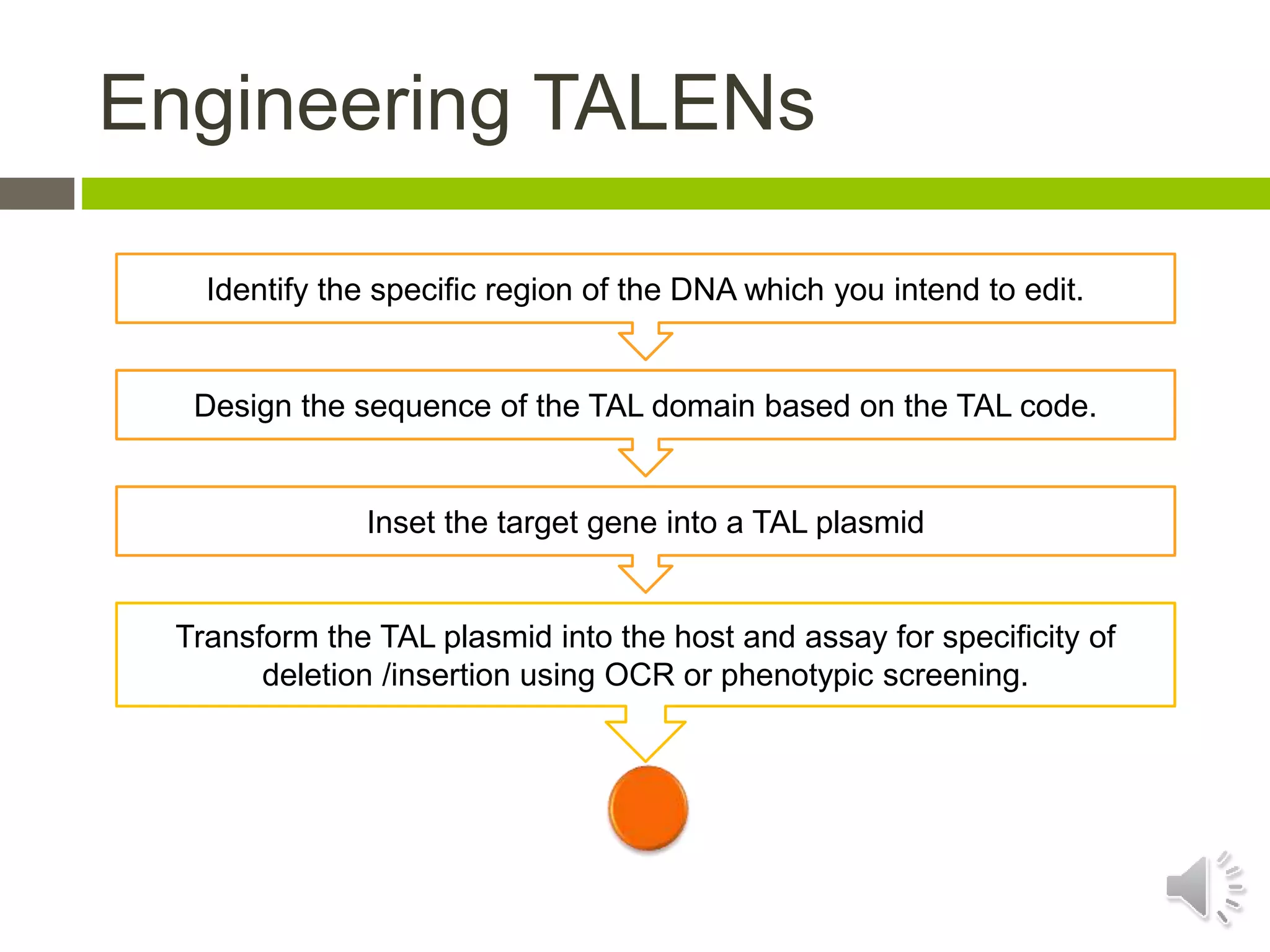Genome Editing with TALENS | PPTX
