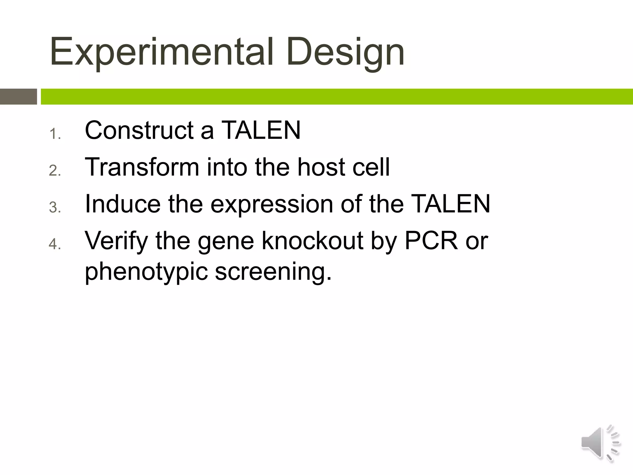 Genome Editing with TALENS | PPTX