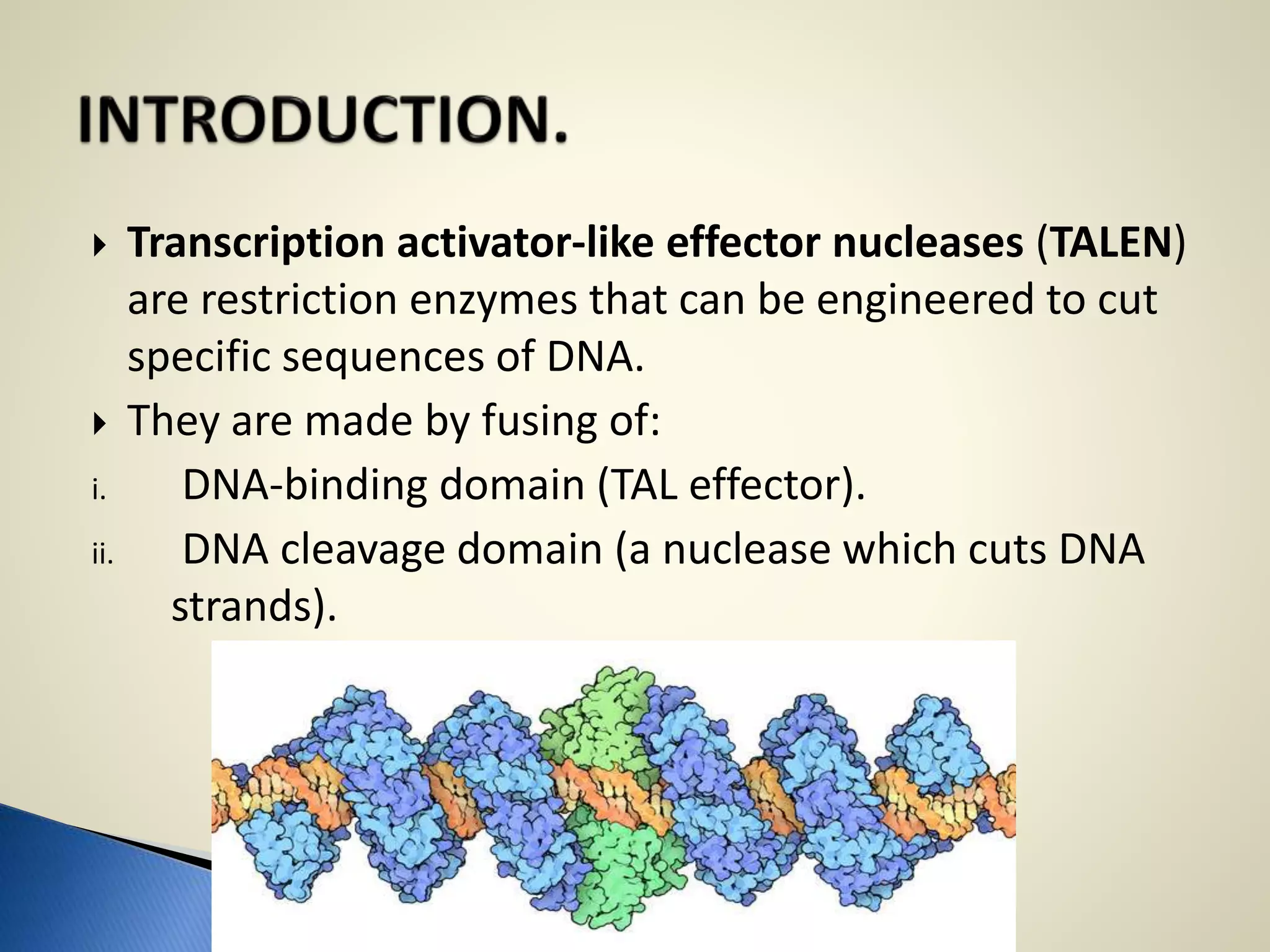 TALENs (Transcription Activator-like Effector Nucleases) | PPTX