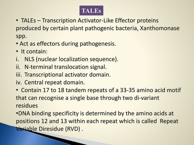 TALENs (Transcription Activator-like Effector Nucleases) | PPTX