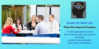 Talent development programs | PDF