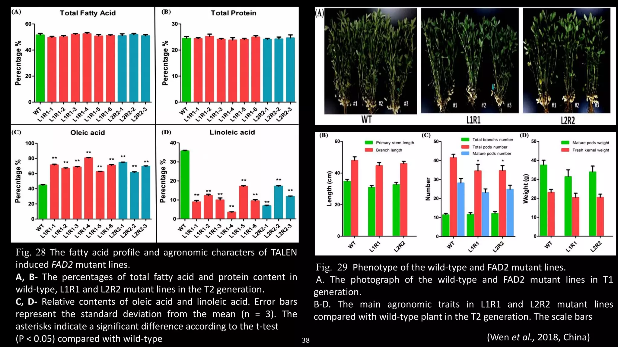 TALENs: A WIDELY APPLICABLE TECHNOLOGY FOR TARGETED GENOME EDITING | PDF