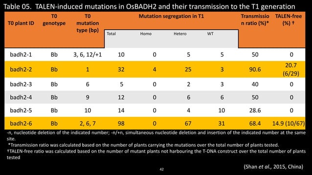 TALENs: A WIDELY APPLICABLE TECHNOLOGY FOR TARGETED GENOME EDITING | PDF