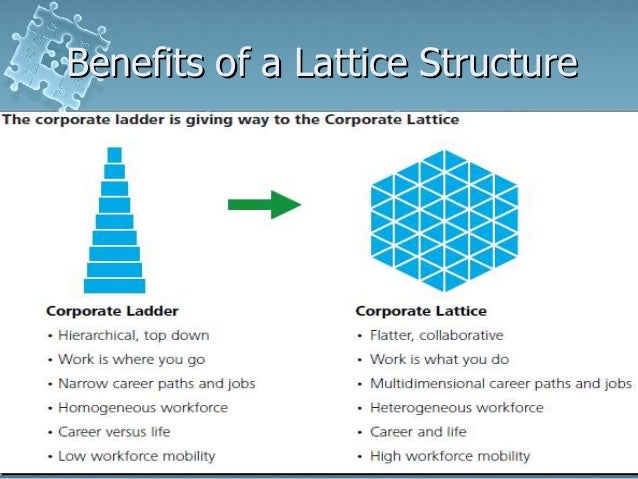 Talent Management Planning for Pace University