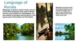 Tales of Two States: A Comparative Study of Language and Literature in ...