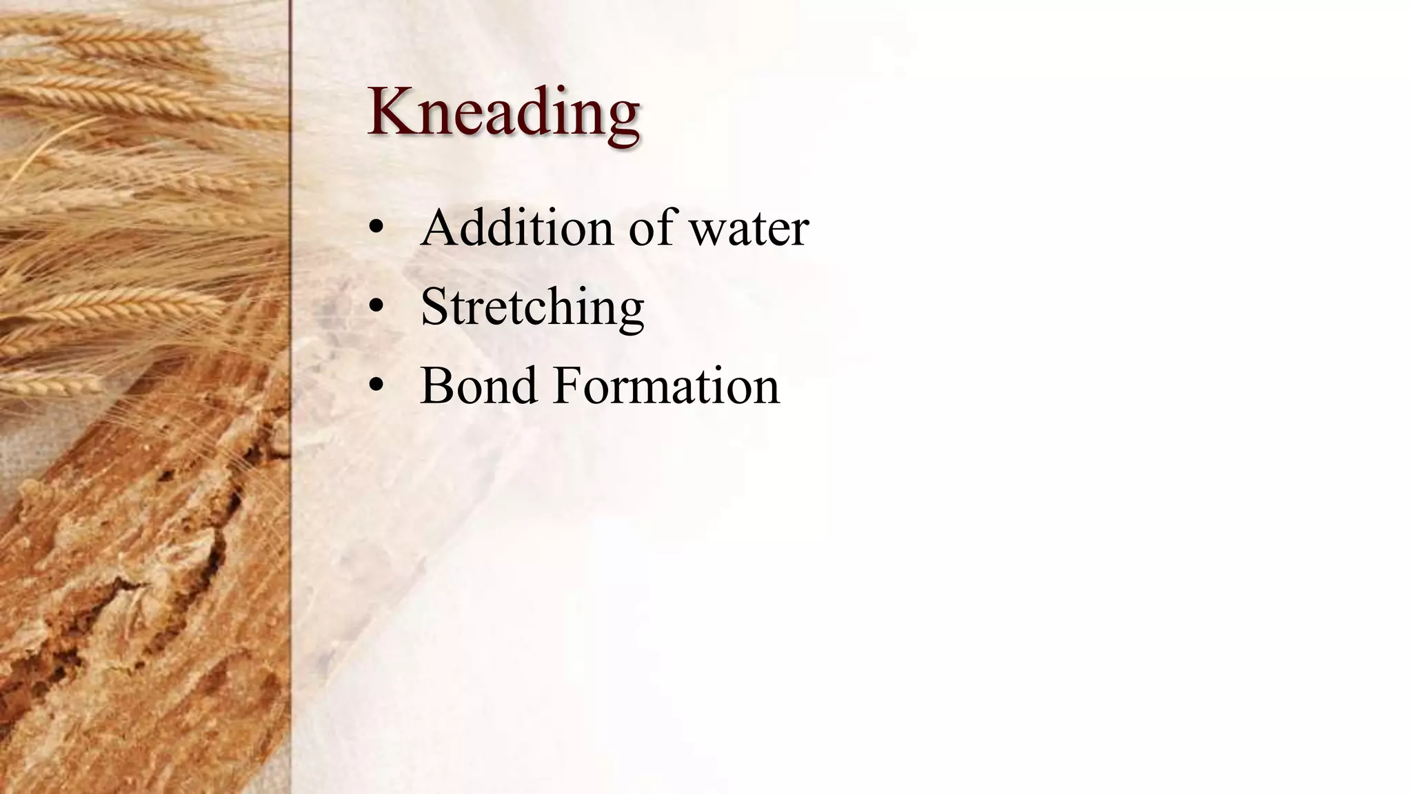 Role of gluten in Bread Formation | PPTX