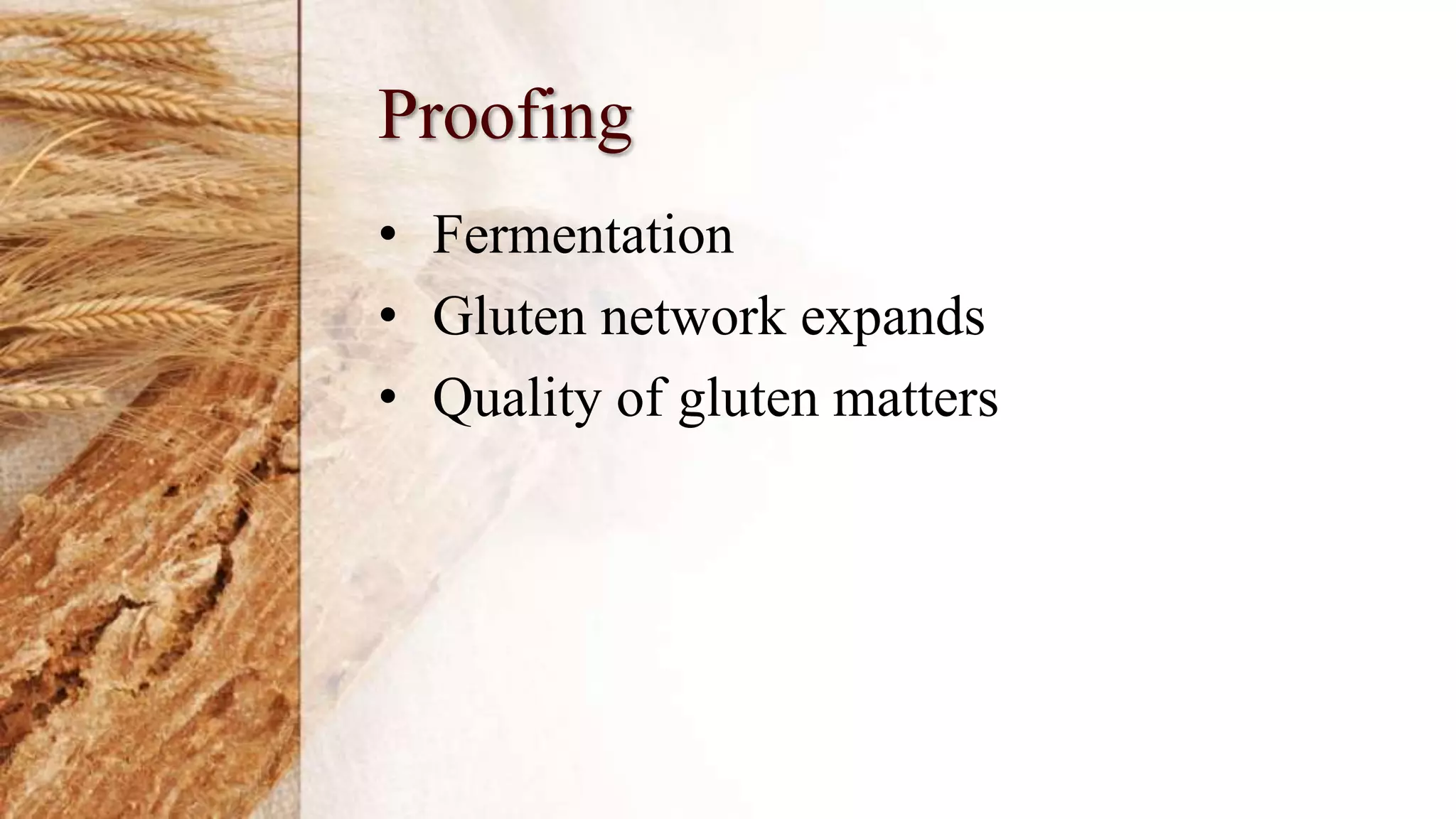 Role of gluten in Bread Formation | PPTX