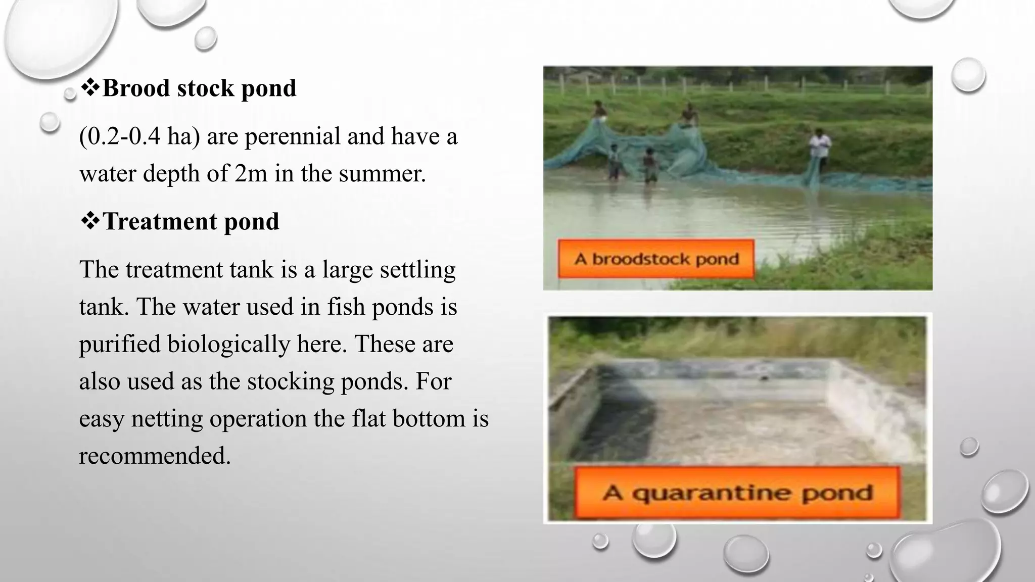 Pond Design And Construction System In An Aqua Farm. | PPTX