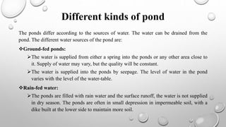 Pond Design And Construction System In An Aqua Farm. | PPTX